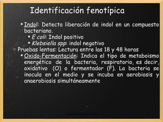 Metodos de identificacion_bacteriana | PPT