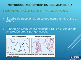 Metodos diagnosticos en dermatologia | PPT
