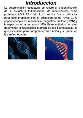 Métodos Físicos Estructurales Biomedicina | PDF