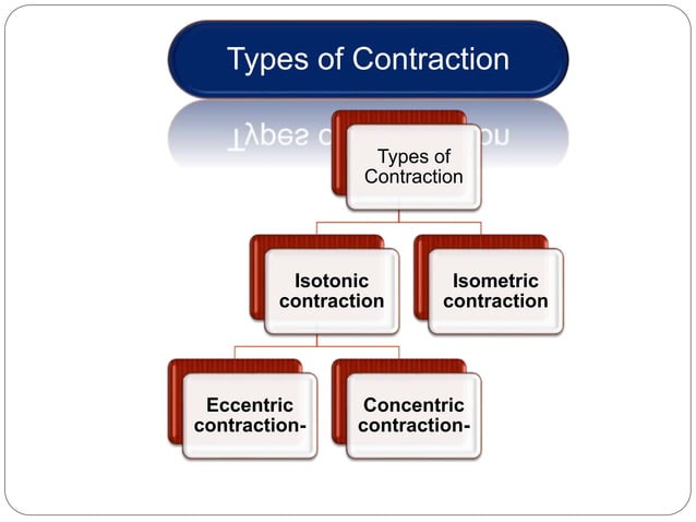 Muscle Energy Technique | PPTX | Physical Therapy | Wellness