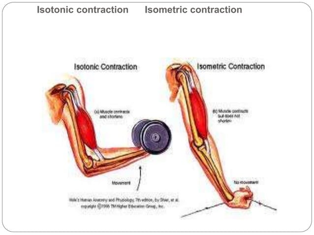 Muscle Energy Technique | PPTX | Physical Therapy | Wellness