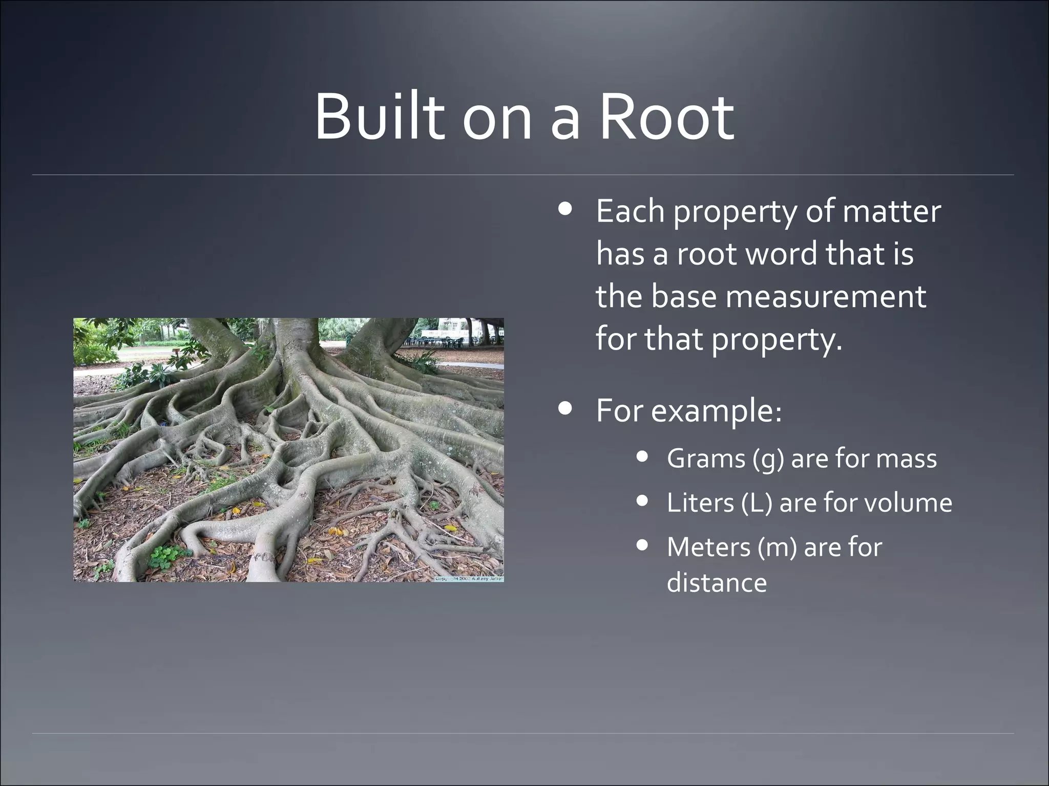 Metric Converstions (Metric Steps with King Henry saying) | PPT