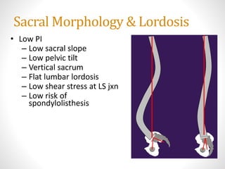 Metrics in spinal deformity | PPTX