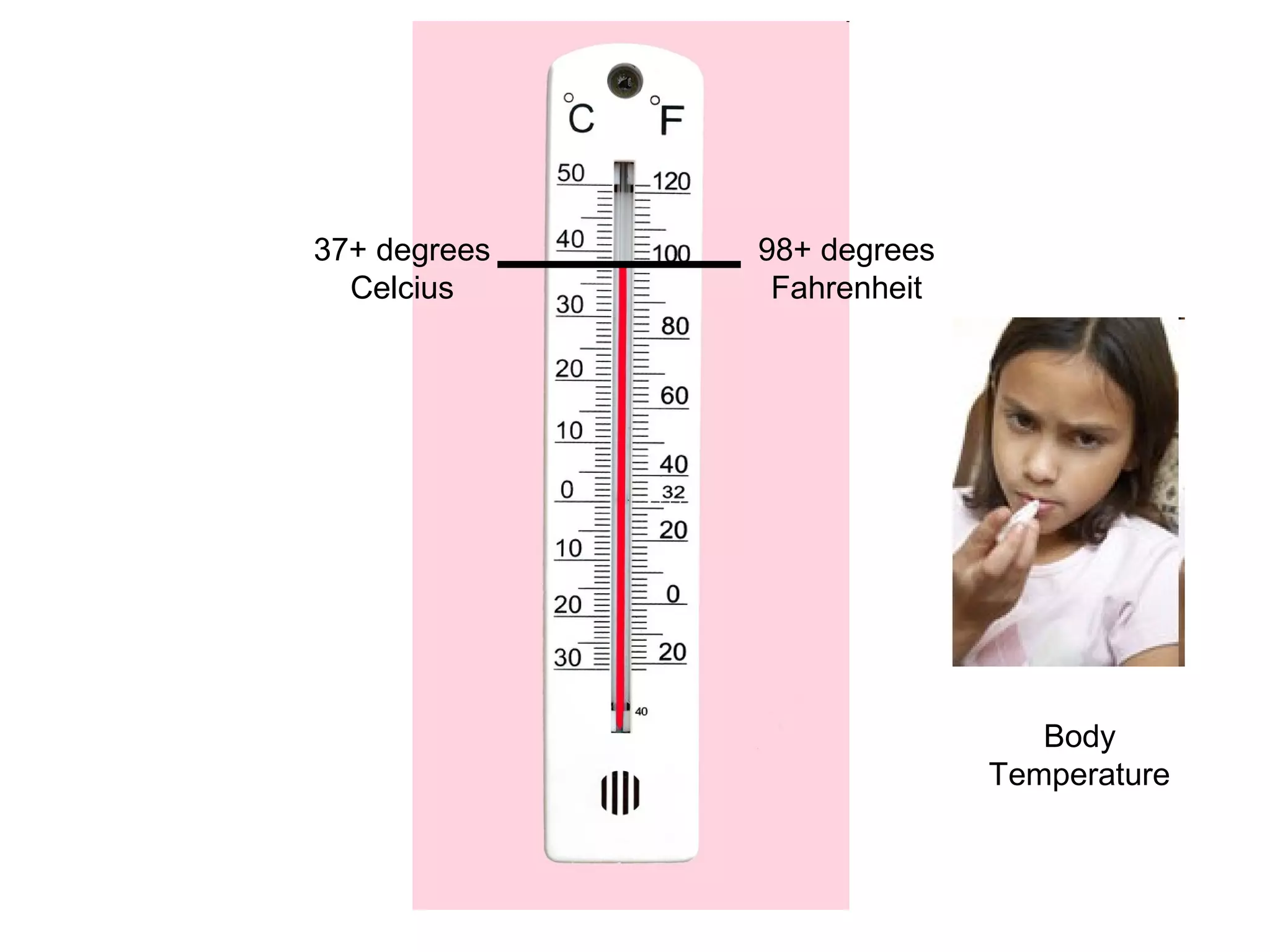 Metric Temperature Ppt | PPT | Physics | Science