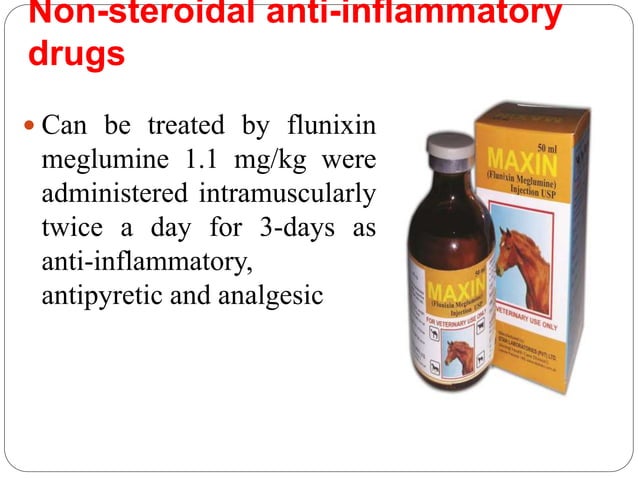 Metritis IN COW .pptx