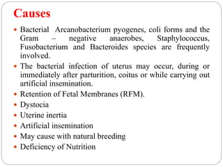 Metritis IN COW .pptx