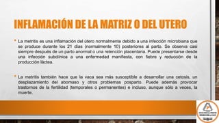 Metritis Bovina.pptx