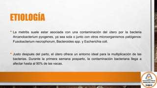 Metritis Bovina.pptx