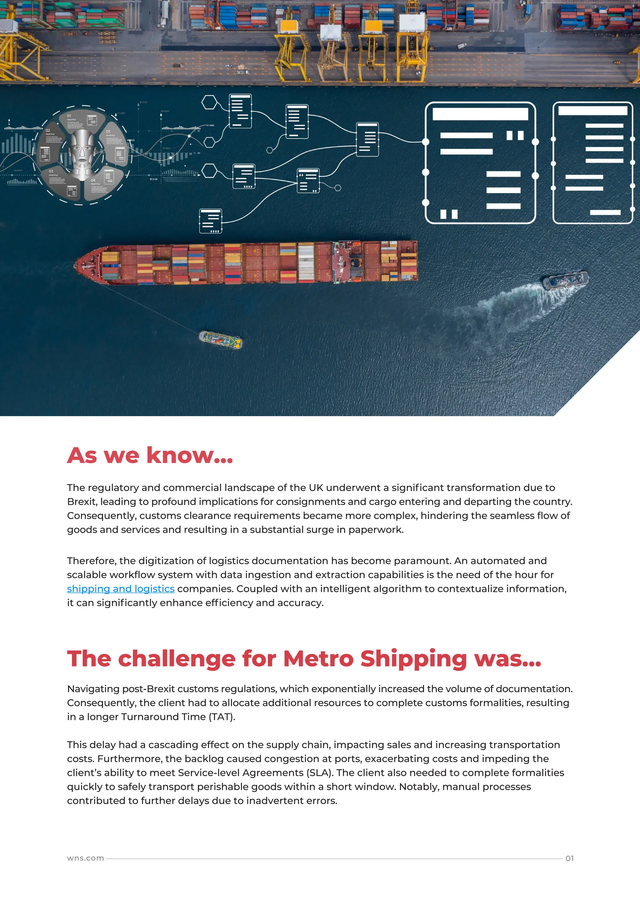 AI Enabled Customs Declarations | Metro Shipping Case Study | Download PDF | PDF