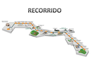 Metroplus | PPTX