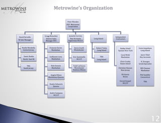Metrowine presentation | PDF