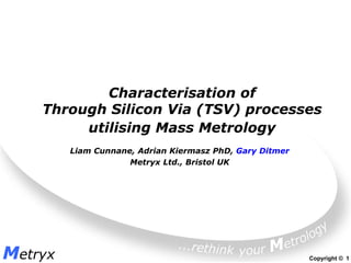 Metryx Mass Metrology For Tsv (Icep2009) | PDF