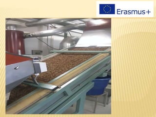 Metsakasvatuslik õpiränne Soomes: Mardo Tomson ja Reimo Lopsik | PPTX