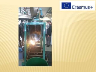 Metsakasvatuslik õpiränne Soomes: Mardo Tomson ja Reimo Lopsik | PPTX