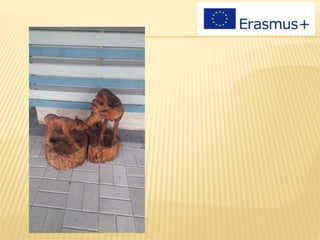 Metsakasvatuslik õpiränne Soomes: Mardo Tomson ja Reimo Lopsik | PPTX