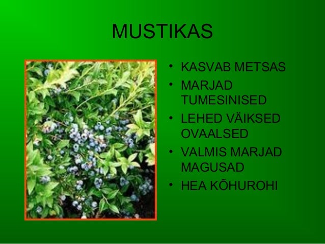 Metsamarjad 1 powerpoint esitlus