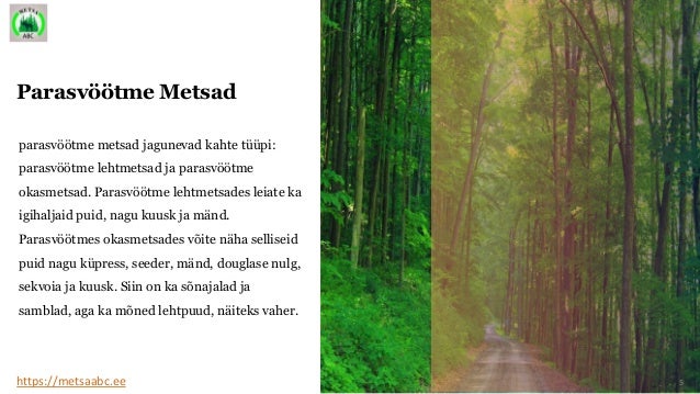 Metsatüübid Maailmas | Metsa ABC | PPT