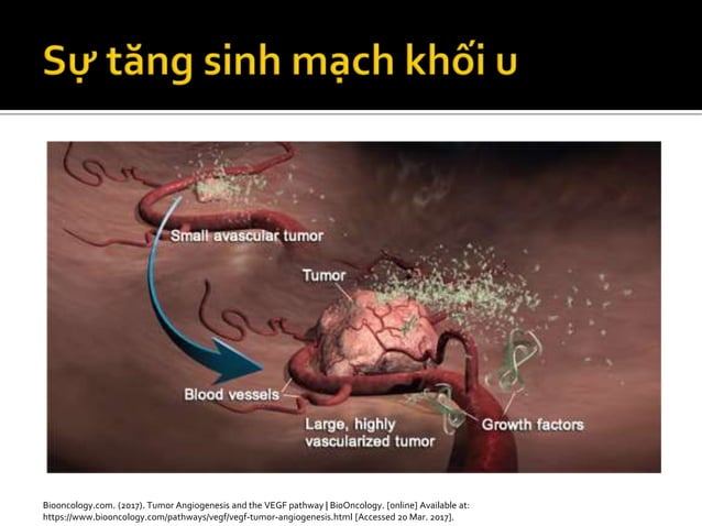 Mets colorectal cancer Mvasi.pptx