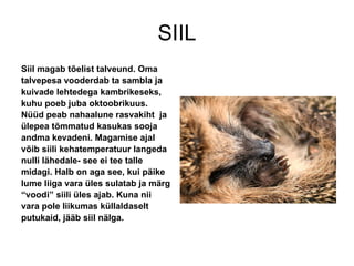 Metsloomade talv | PPT