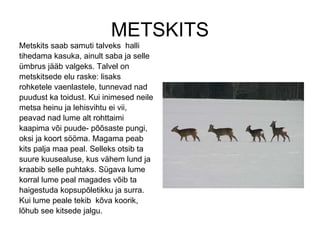 Metsloomade talv | PPT