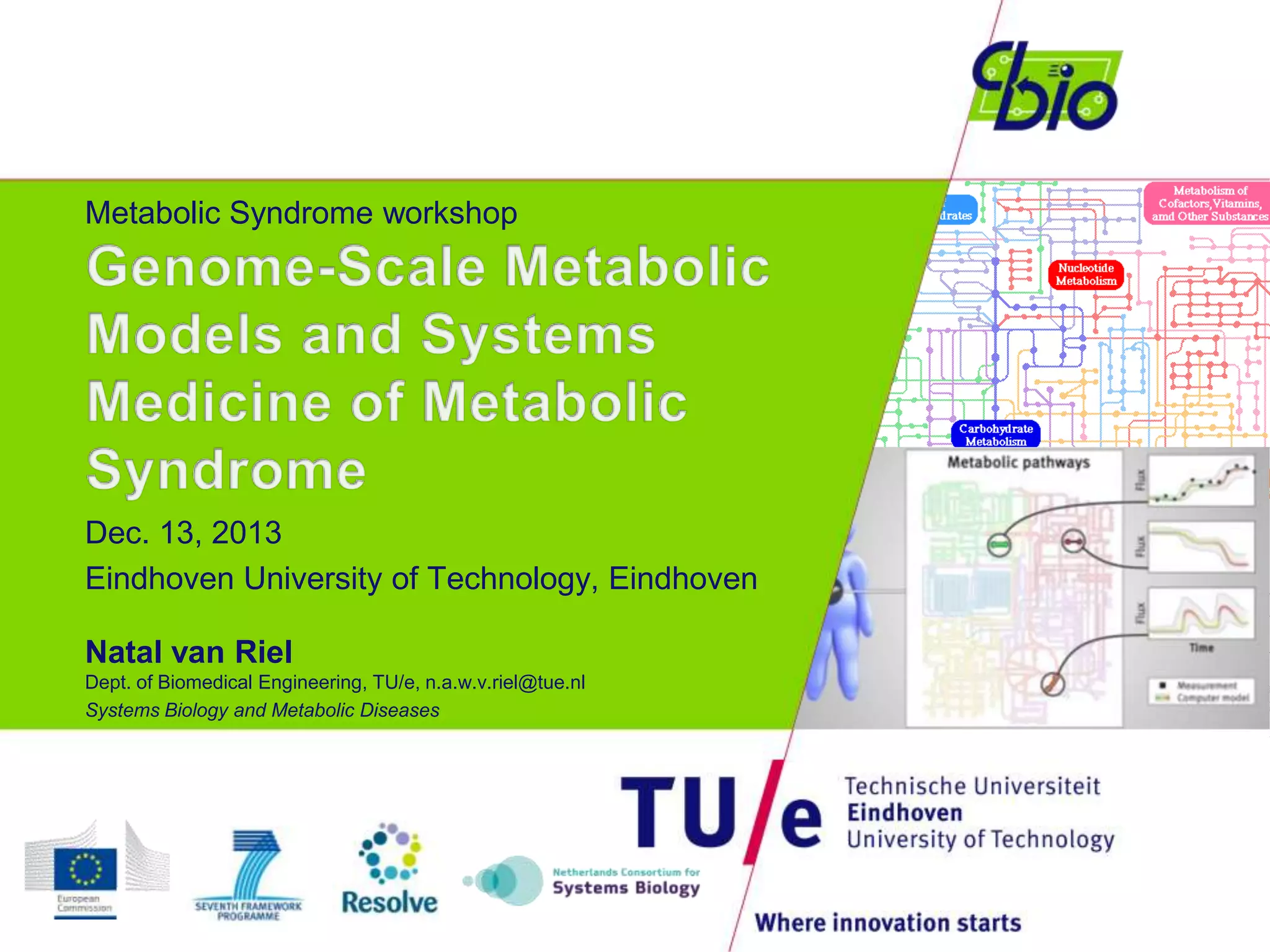 Genome-Scale Metabolic Models and Systems Medicine of Metabolic ...