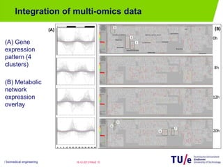 Genome-Scale Metabolic Models and Systems Medicine of Metabolic Syndrome | PPTX