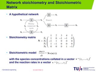 Genome-Scale Metabolic Models and Systems Medicine of Metabolic ...
