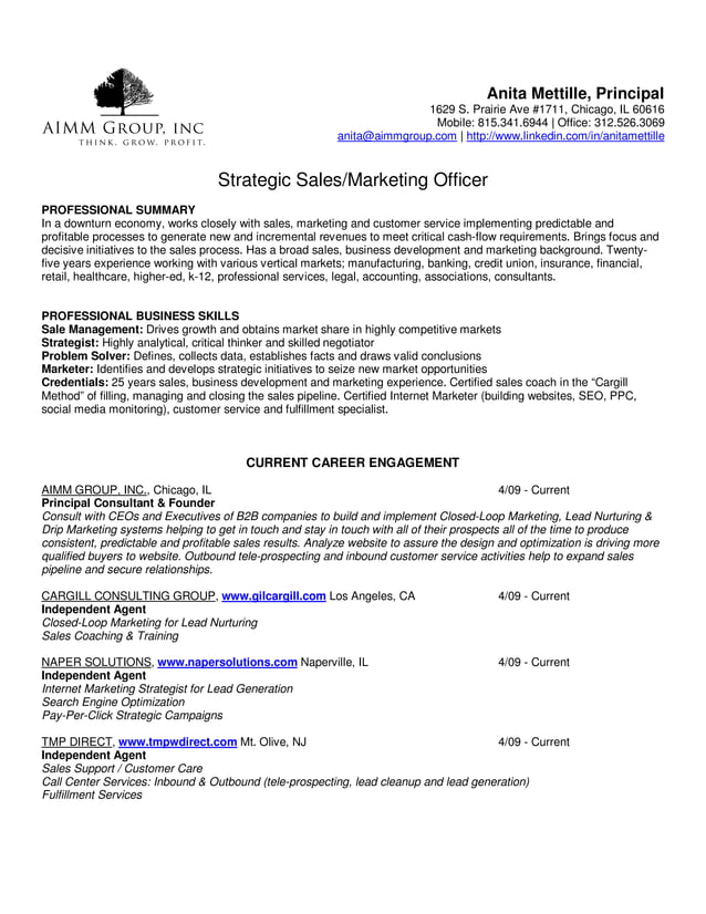 Mettille Anita Aimm Group Resume | PDF