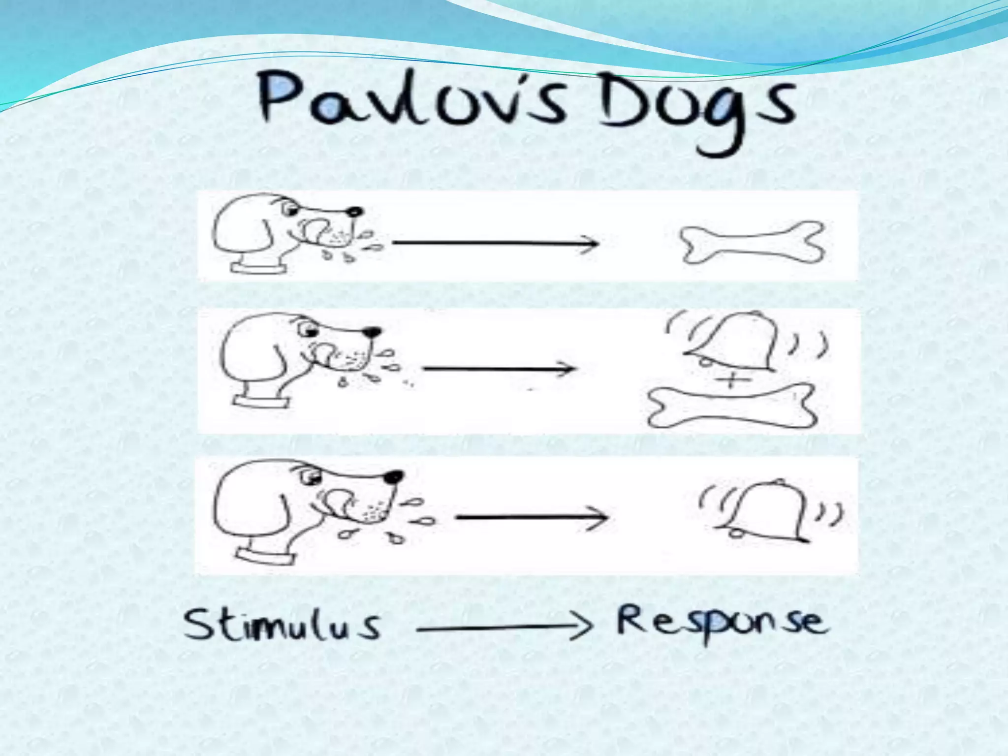 behaviorism theory of language learning | PPT