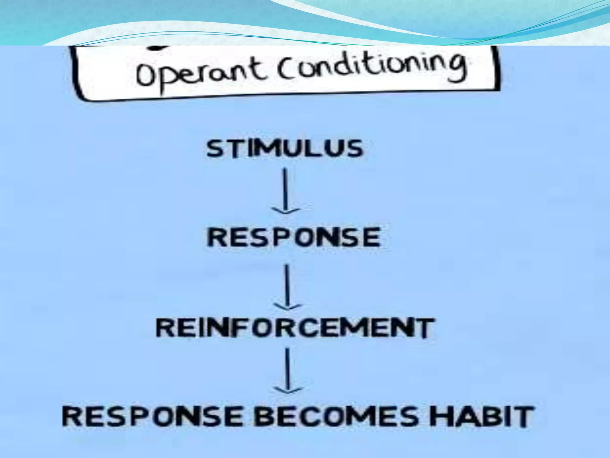 behaviorism theory of language learning | PPT