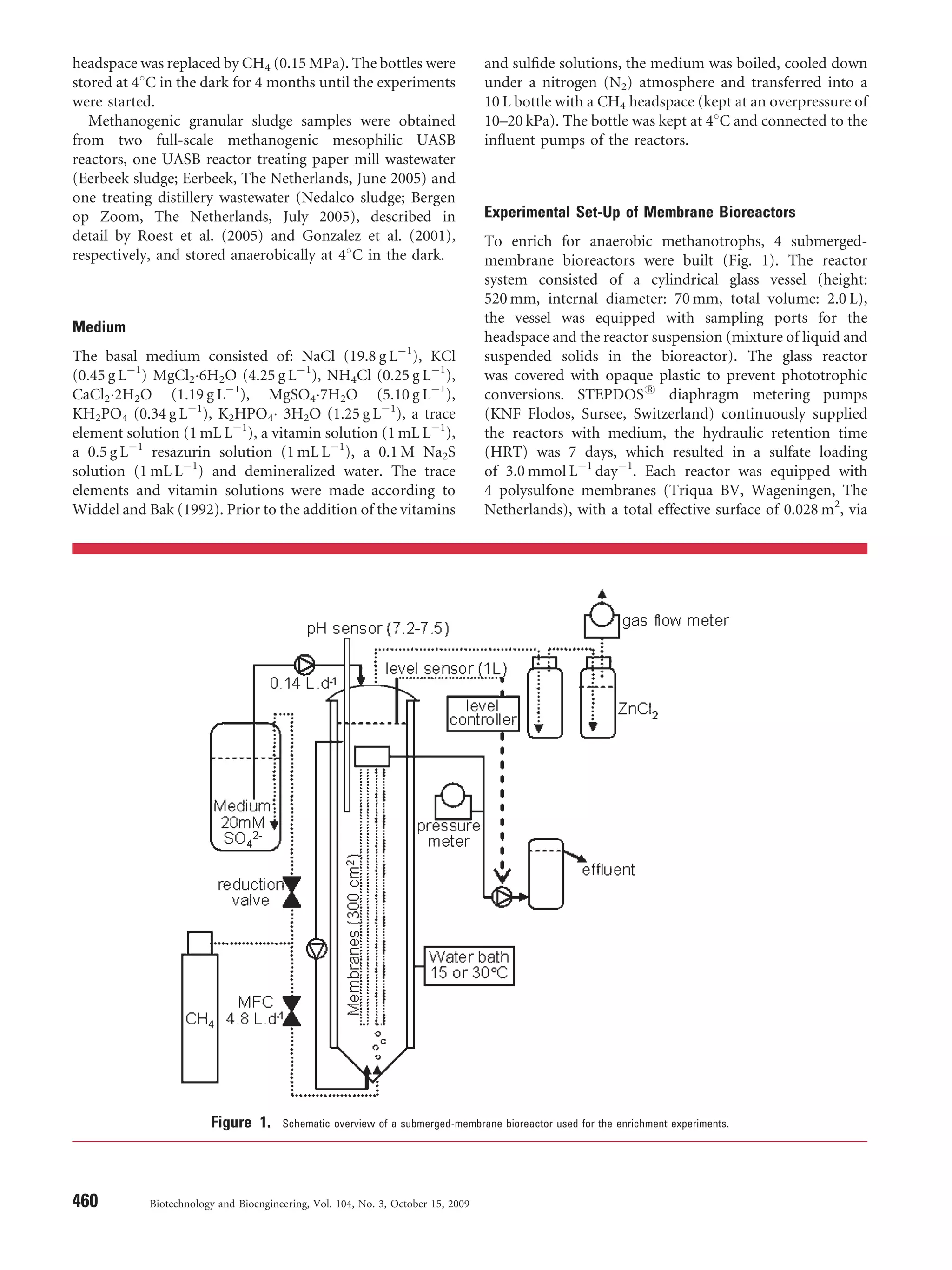 Meulepas, 2009, Enrichment Of Anaerobic Methanotrophs In Sulfate ...