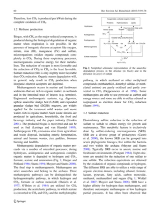 Meulepas, 2010, Biotechnological Aspects Of Sulfate Reduction With Methane As Electron Donor ...