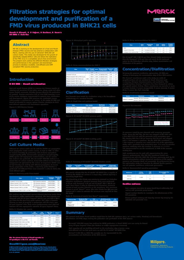 Filtration Strategies for Optimal Development and Purification of a FMD ...