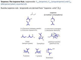 Mevalonate pathway | PPTX