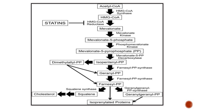 Acetate mevalonate pathway and its application | PPTX