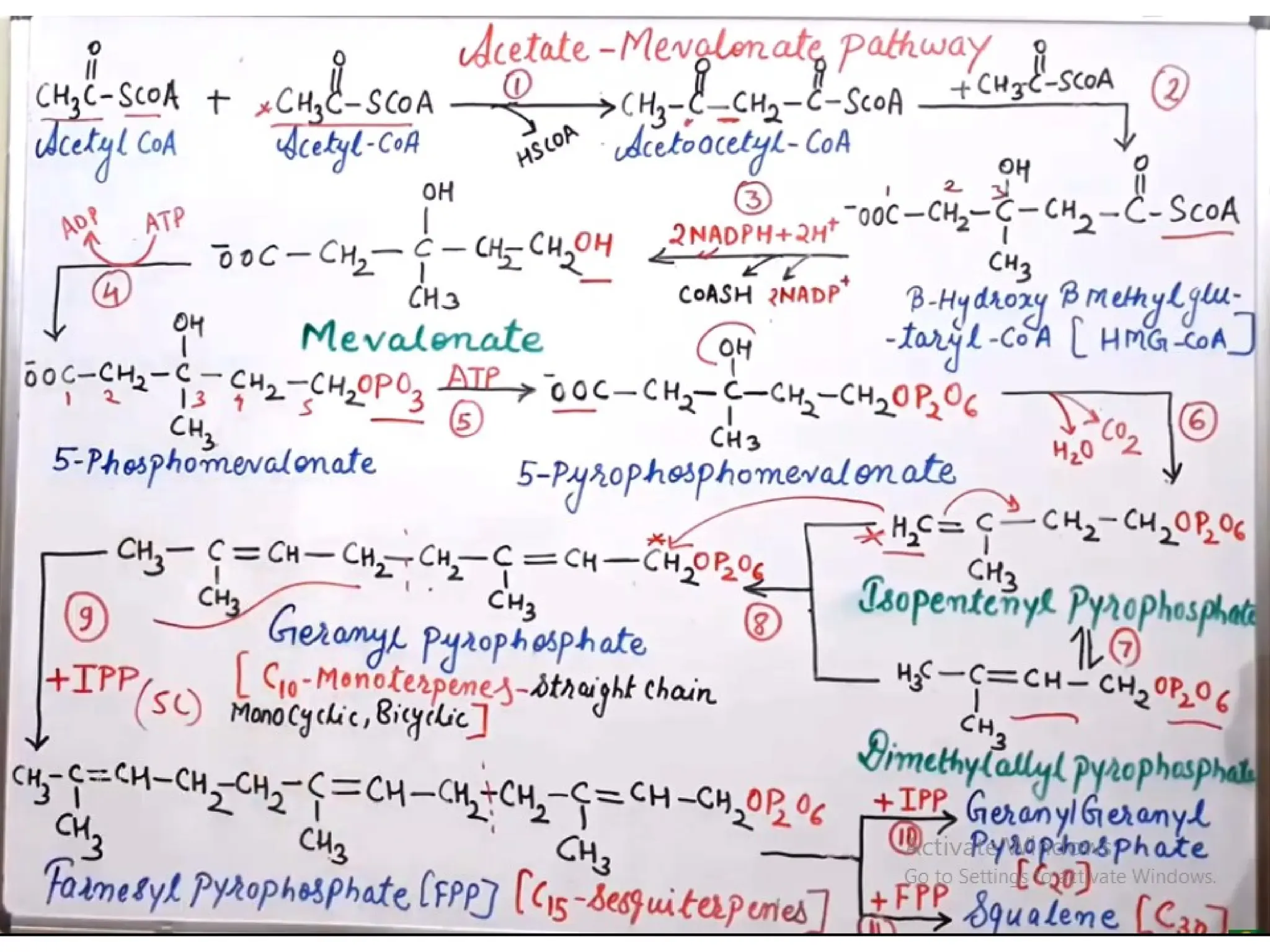 mevalonate pathway. prepaired by Dr praveen goyal | PPTX