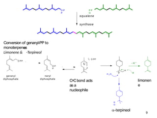 mevalonate pathway. prepaired by Dr praveen goyal | PPTX