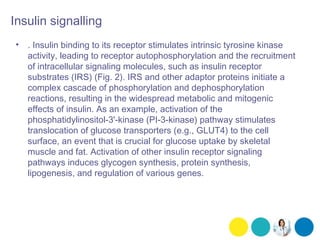 Insulin | PPT