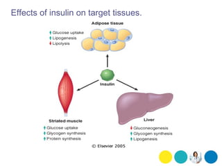Insulin | PPT
