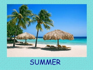 Seasons and Months | PPT