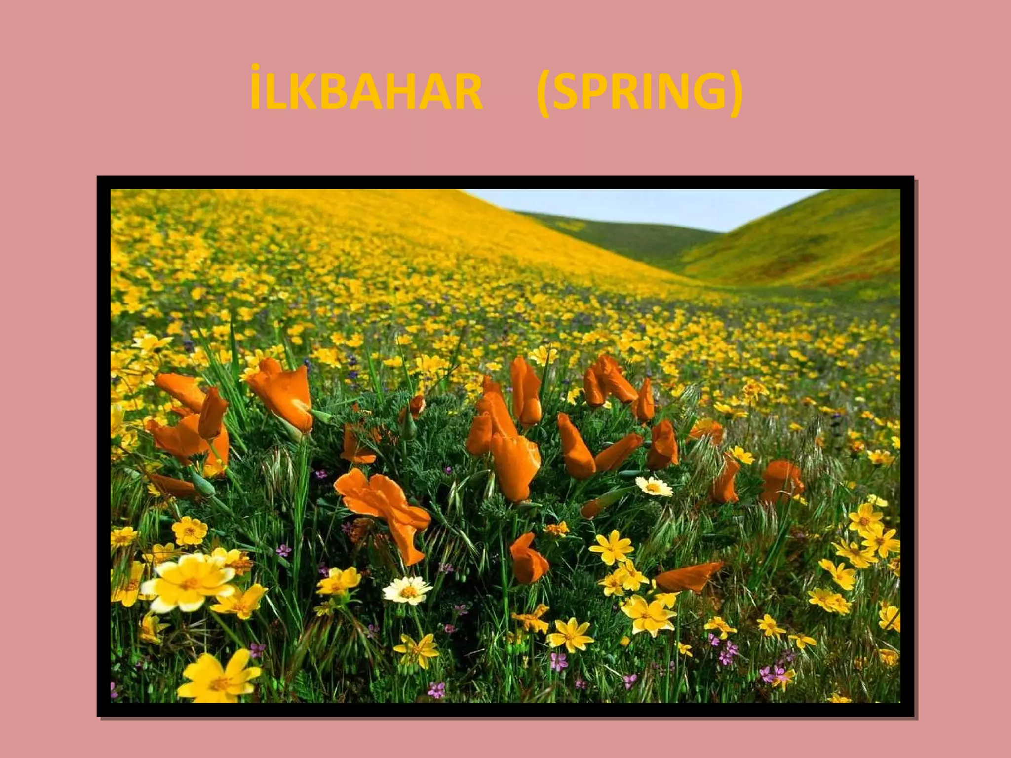 Mevsimler ve Aylar2 | PPT