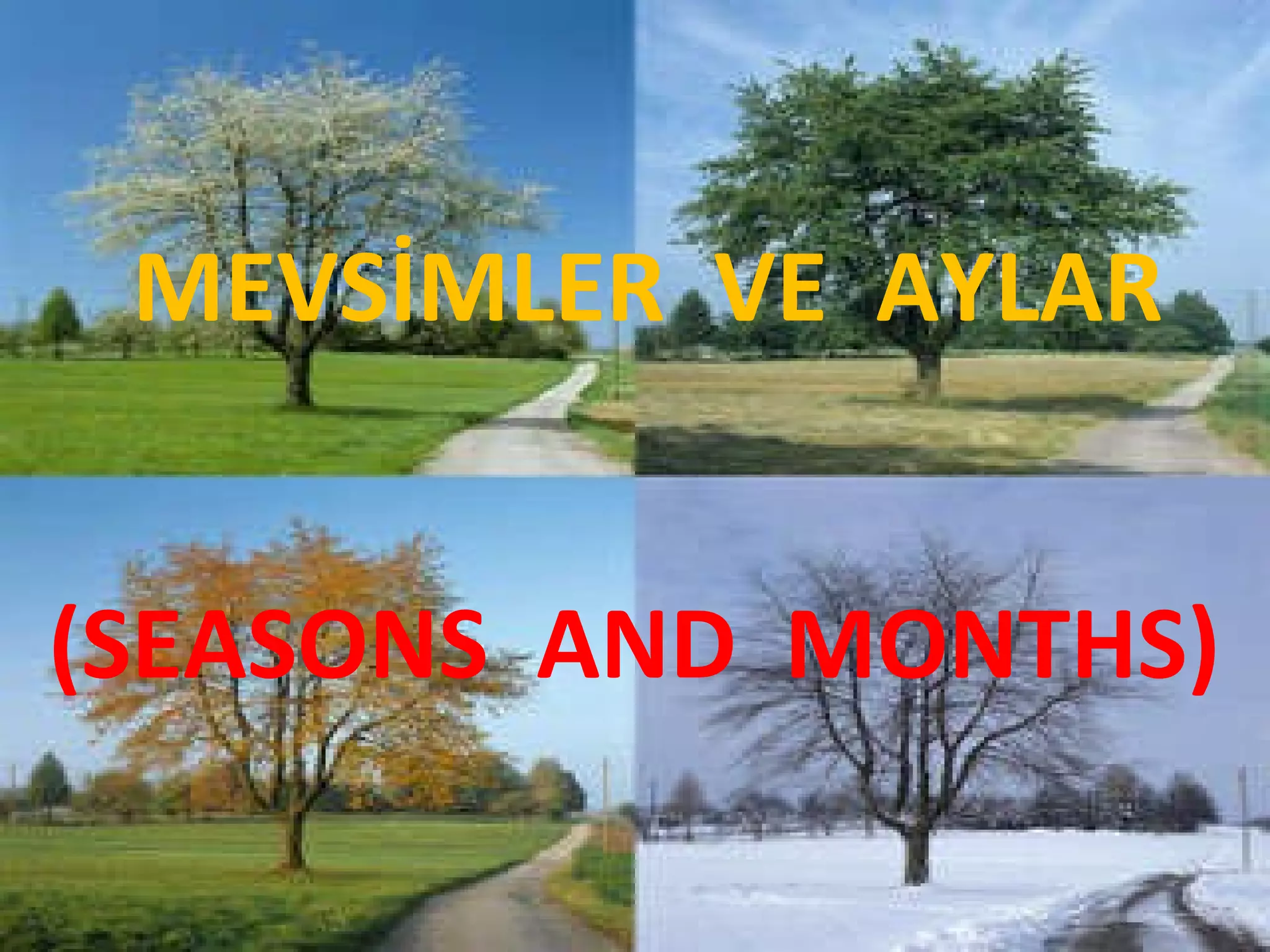 Mevsimler ve Aylar 3 | PPT