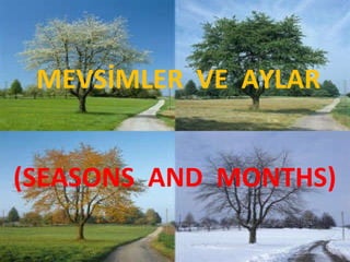 Mevsimler ve Aylar 3 | PPT