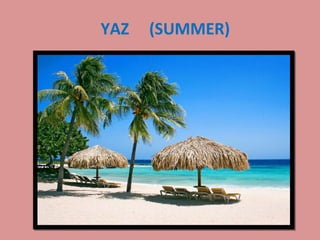 Mevsimler ve Aylar 3 | PPT