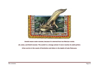 Mexican animals power point | DOCX