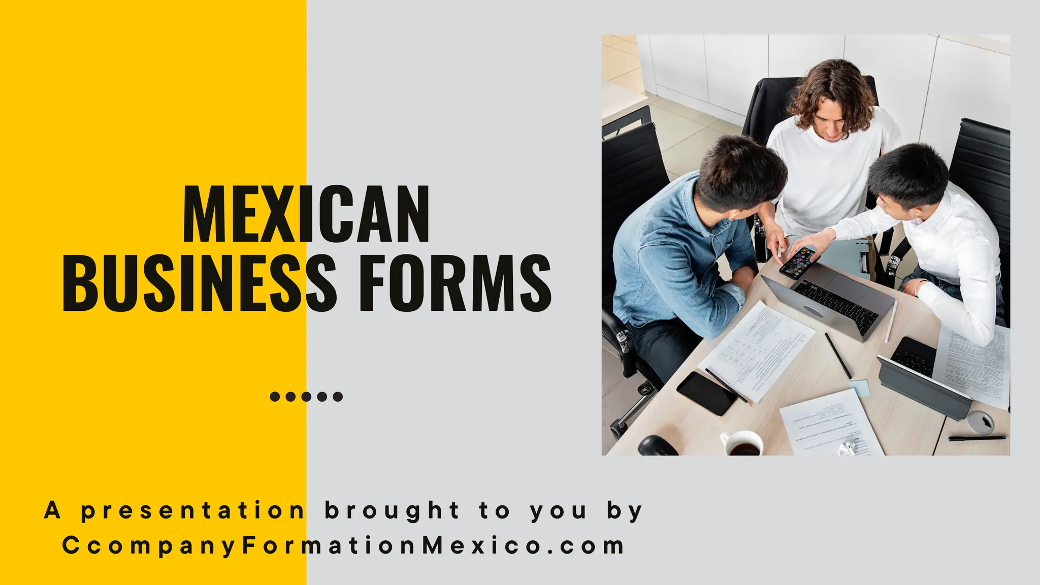 The Main Types of Mexican Business Forms | PPT