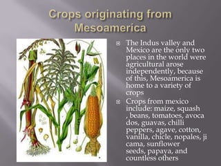 Mexican cuisine | PPTX