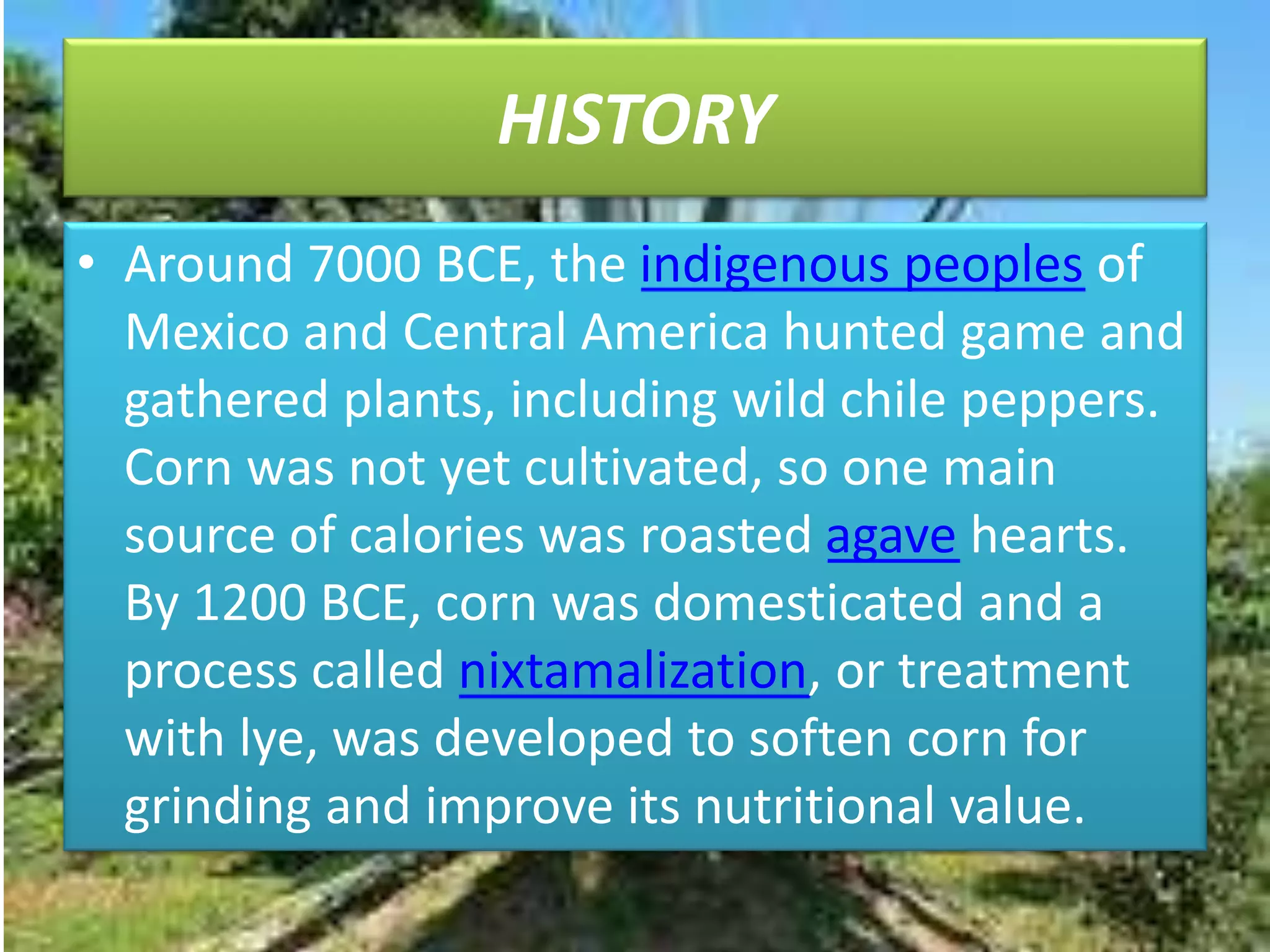 Mexican cuisine presentation | PPTX