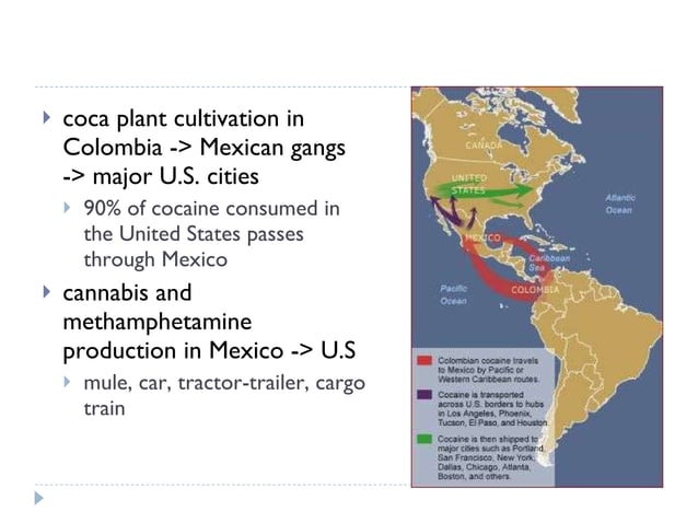 Mexican Drug War | PPT