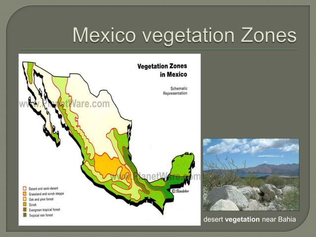Mexico | PPT